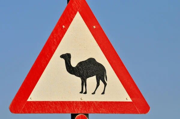 Camel crossing sign Stock Photos, Royalty Free Camel crossing sign ...
