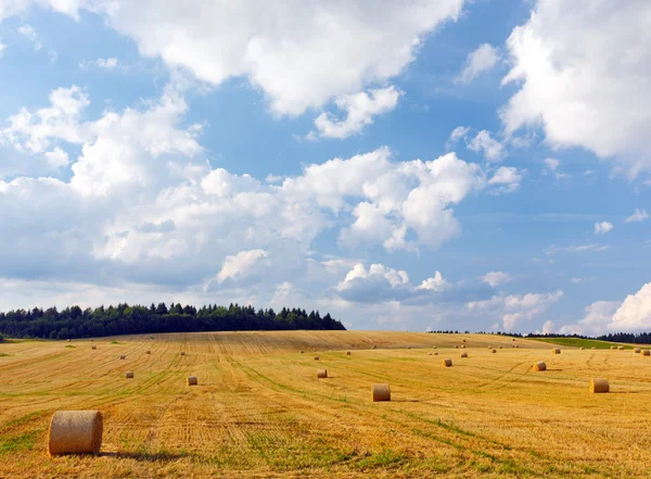 August landscape Stock Photos, Royalty Free August landscape Images ...