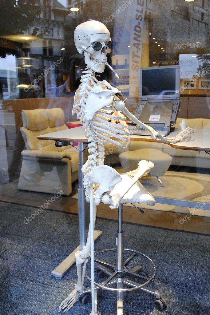 Skeleton — Stock Photo © fotosmail #23543161