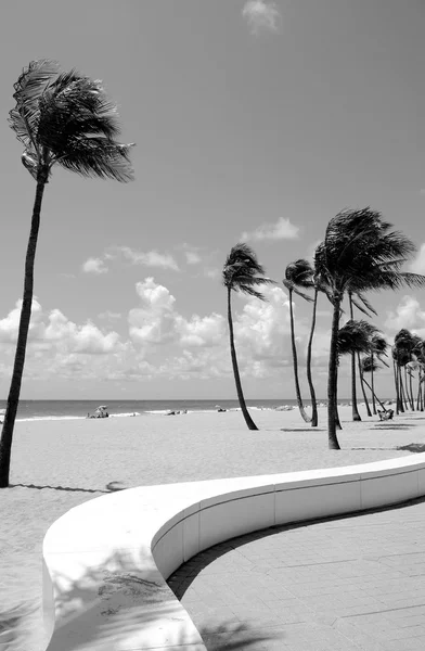 Fort lauderdale Stock Photos, Royalty Free Fort lauderdale Images ...