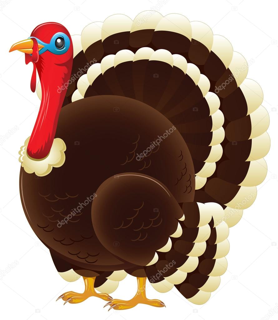 Plump Thanksgiving Turkey — Stock Vector © AvelKrieg #23419756