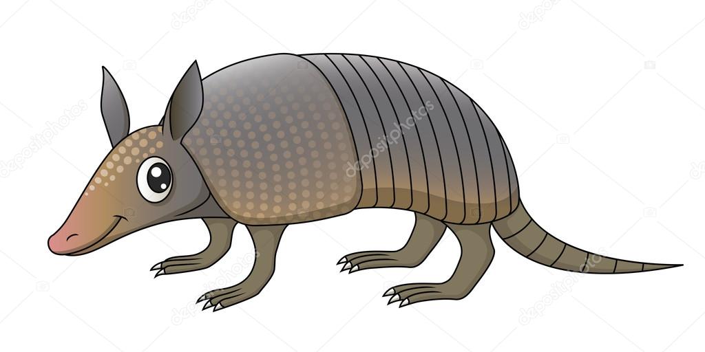 ARMADILLO vector, gráfico vectorial © AvelKrieg imagen #23820907