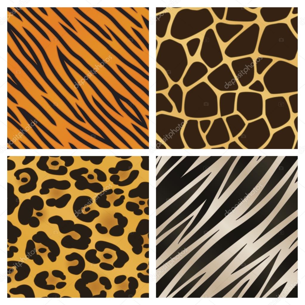 Animal Print Collection Stock Vector by ©AvelKrieg 35886143