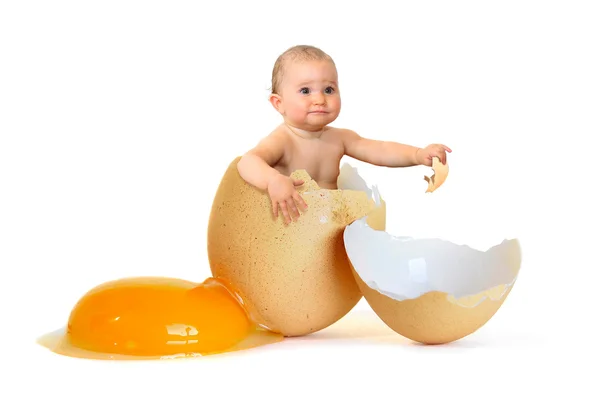 Baby Boy Wearing Pair Sunglasses Coming Out Eggshell Isolated White ...