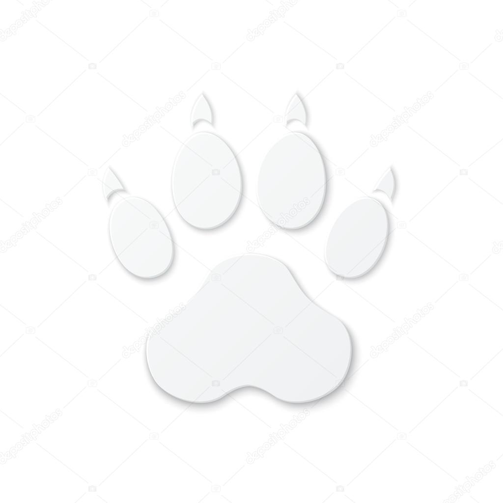 Shiny Plastic Trace of Dog. — Stock Photo © mastaka #38709713