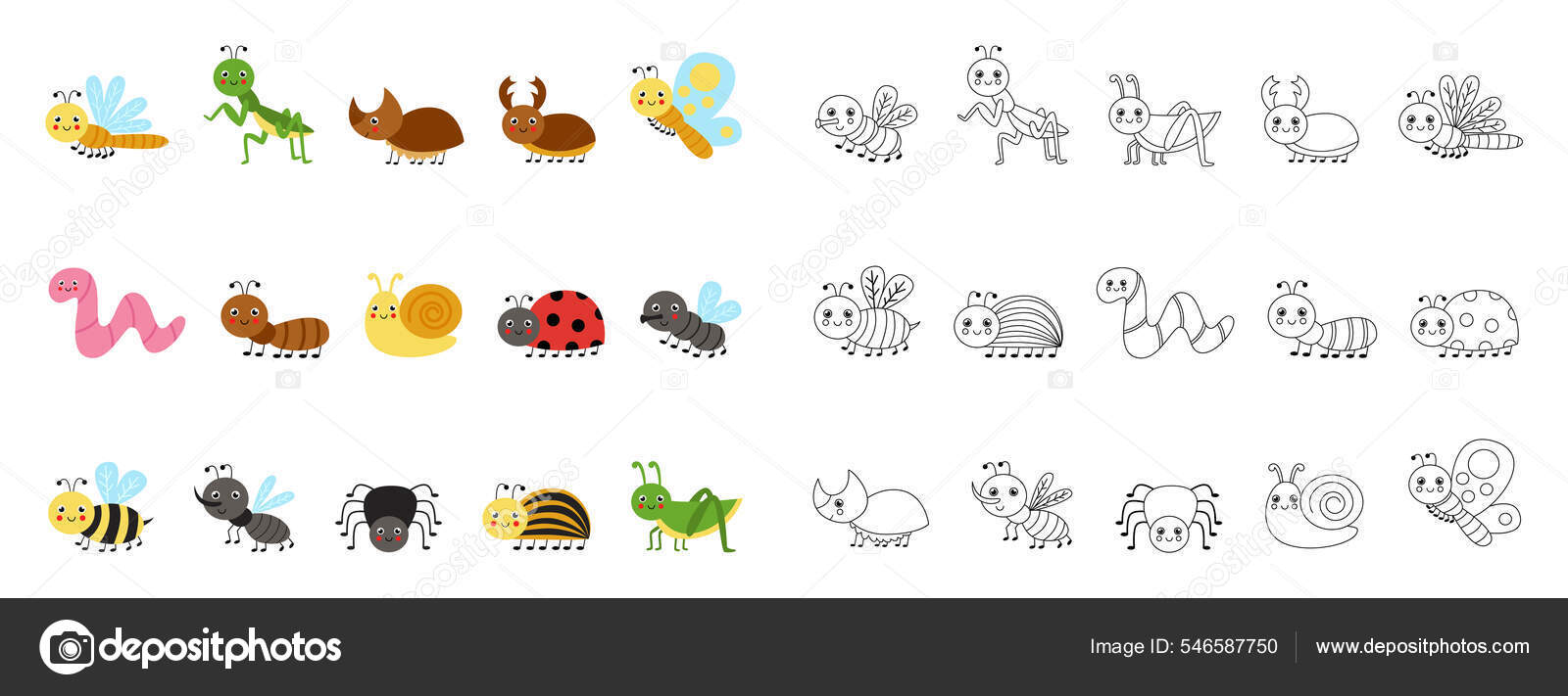 Set Cute Colorful Insects White Background Black White Version Stock ...