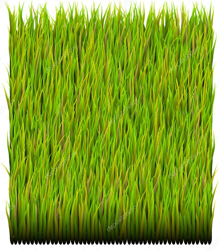 Green Grass Patch Background — Stock Photo © kentoh #23720815