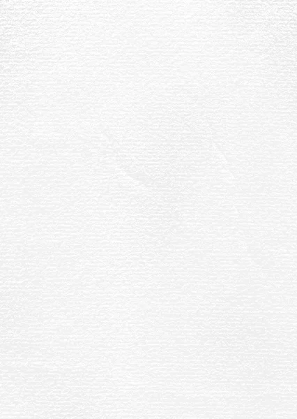 Fondo Blanco Liso Amazon.com: Goshoot Telón De Fondo Blanco De PVC De