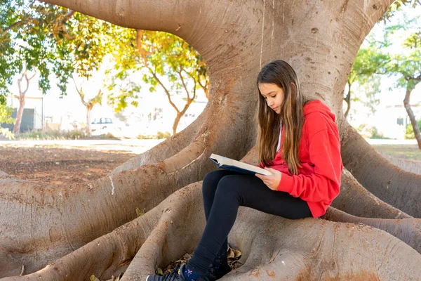 Girl reading tree Stock Photos, Royalty Free Girl reading tree Images ...