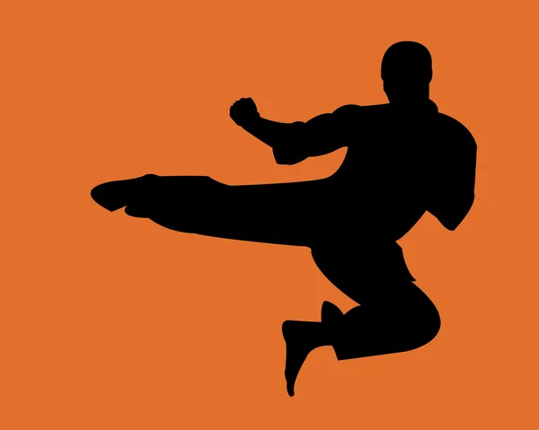 Flying Karate Kick Silhouette