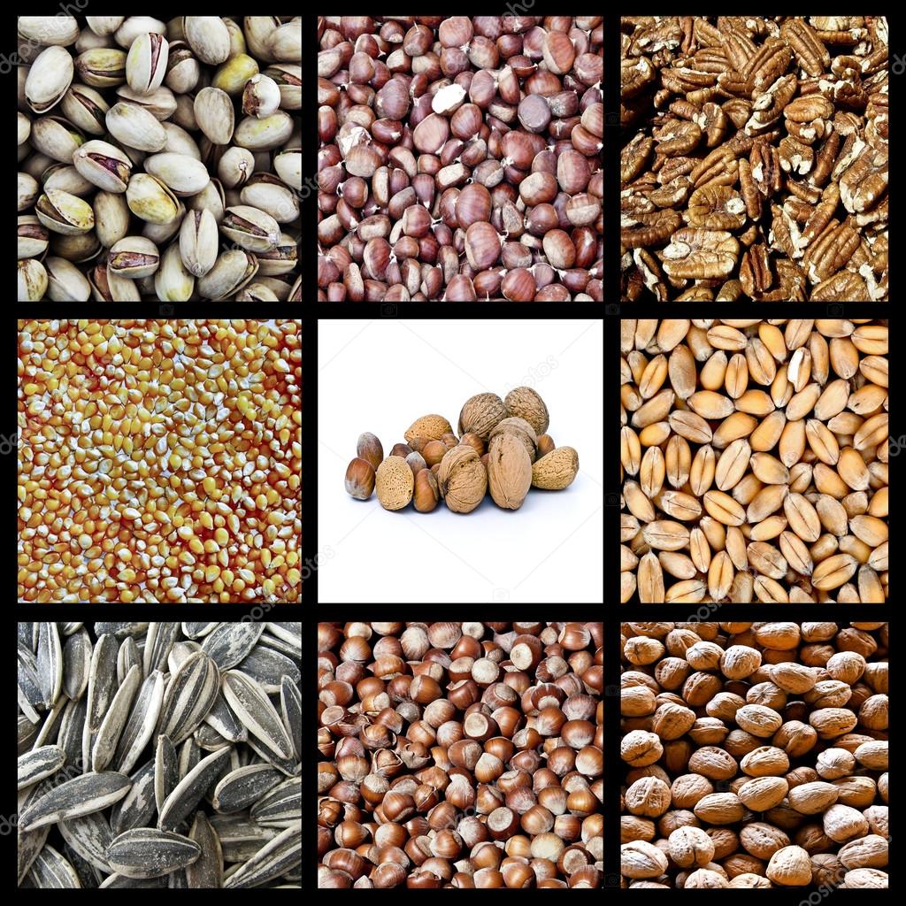 Nuts collage Stock Photo by ©LG55 39732193