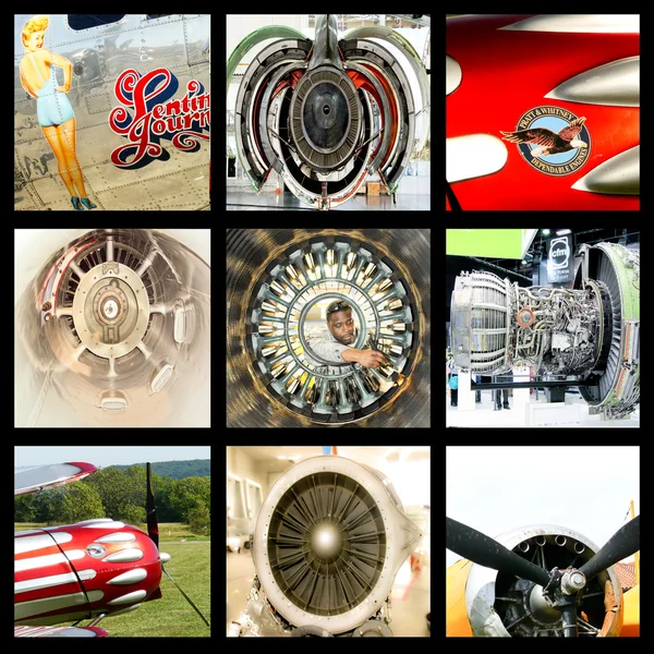 Algae collage — Stock Photo © LG55 #38659865