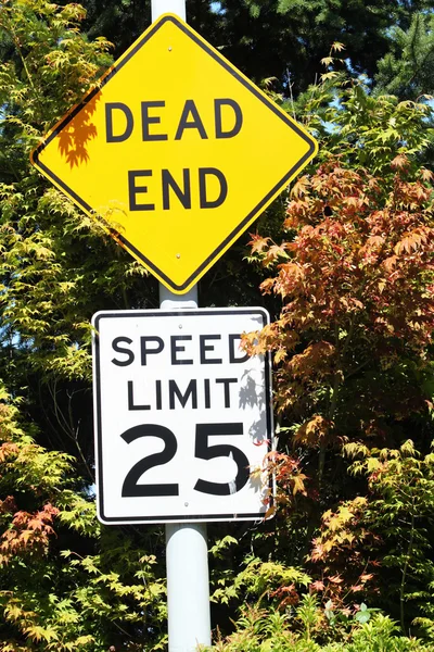 Dead End And Speed Sign — Stock Photo © tethysimaging #31233177