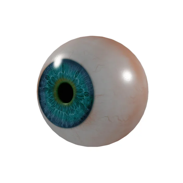 Real Eyeball Side View