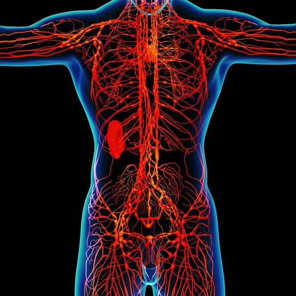 Red system Images - Search Images on Everypixel