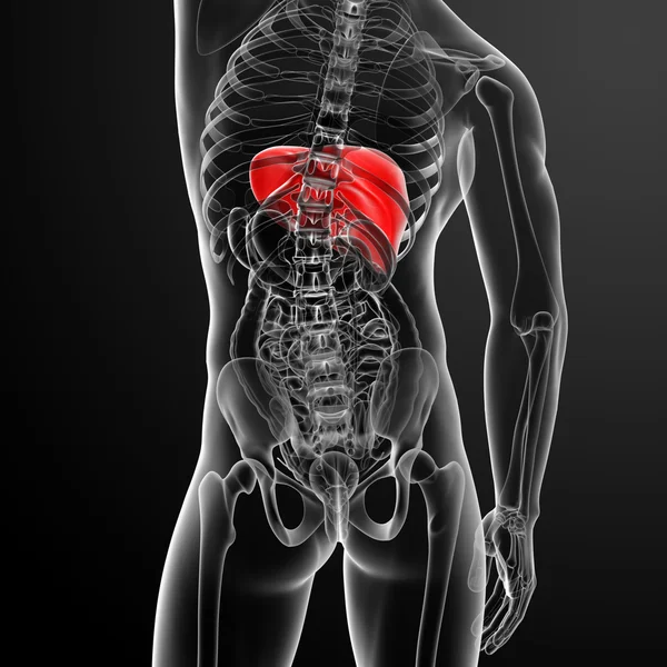 Color system Images - Search Images on Everypixel