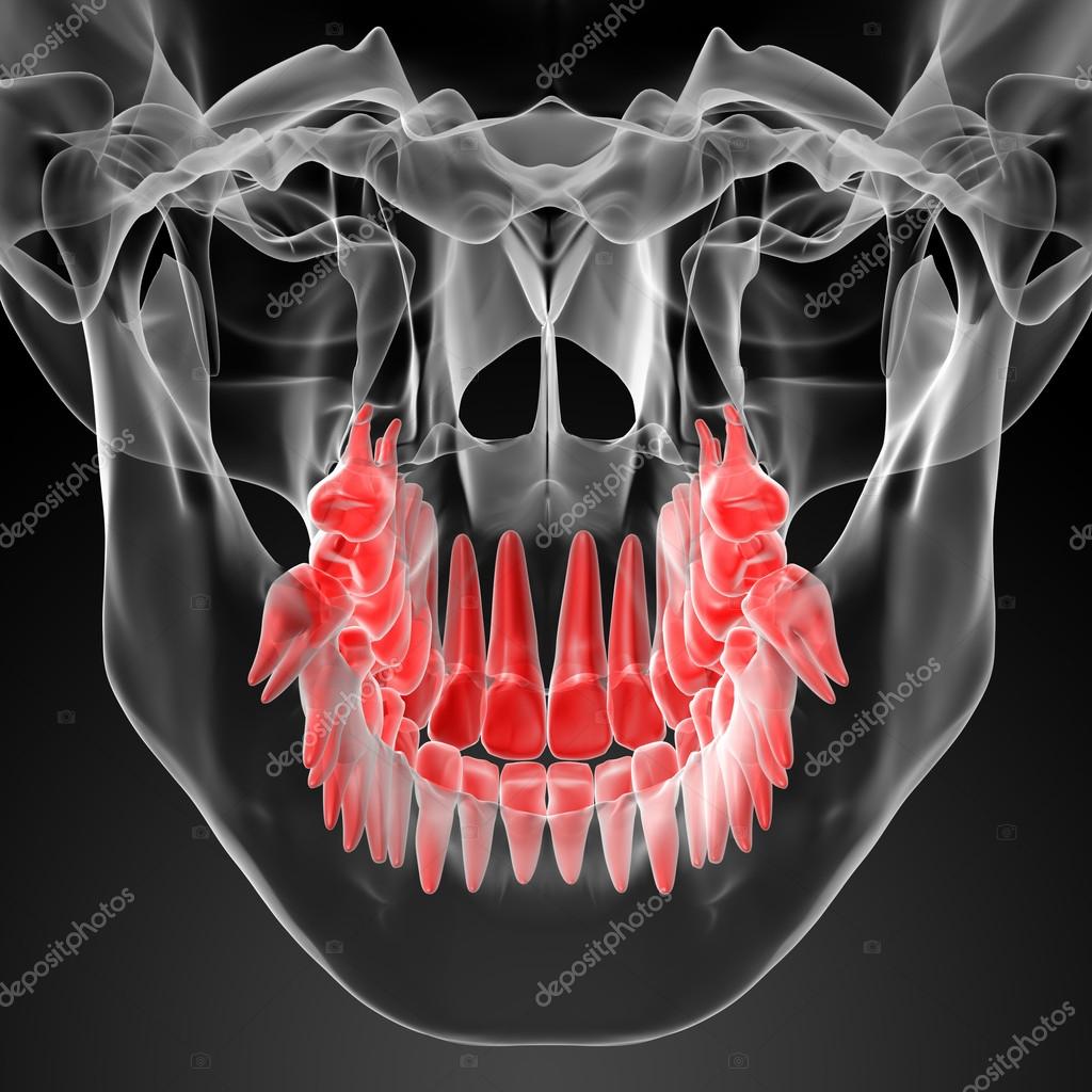 Skull with visible red teeth Stock Photo by ©maya2008 42884563