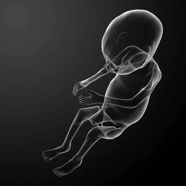 Human fetus — Stock Photo © maya2008 #42952587