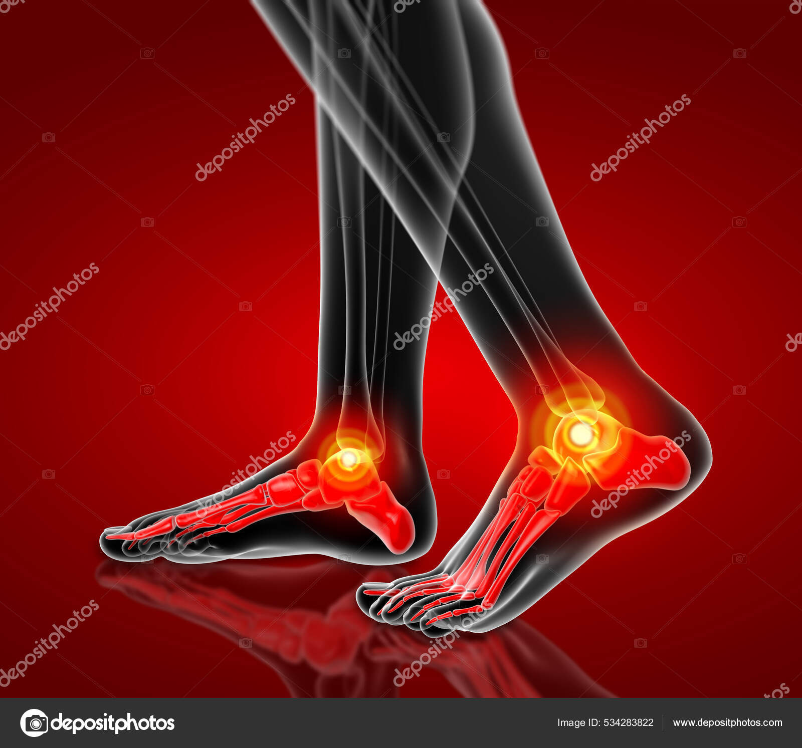 Human Foot Side View