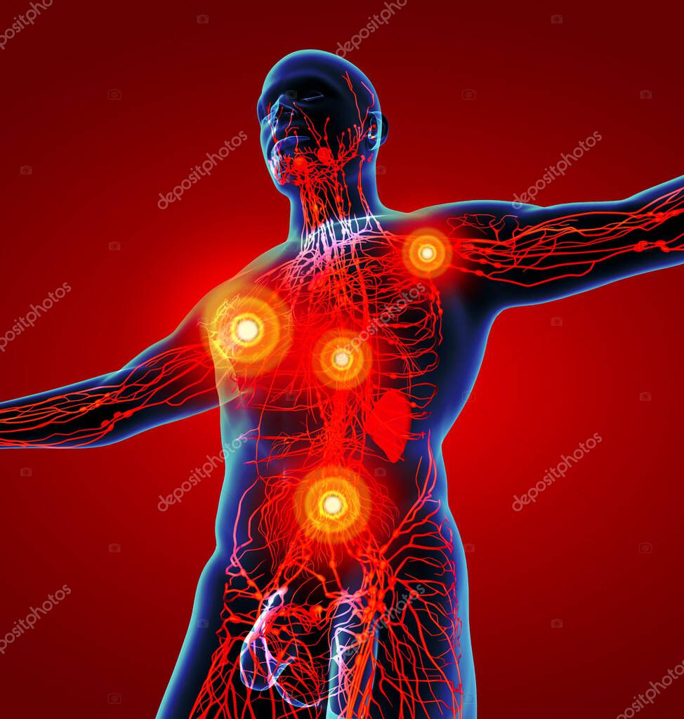 3d renderizar sistema linfático rojo - vista inferior 2024