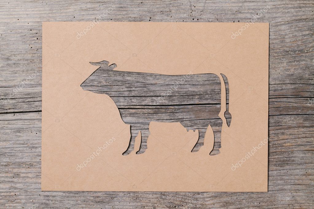 Paper cow — Stock Photo © albertobogo #32663193