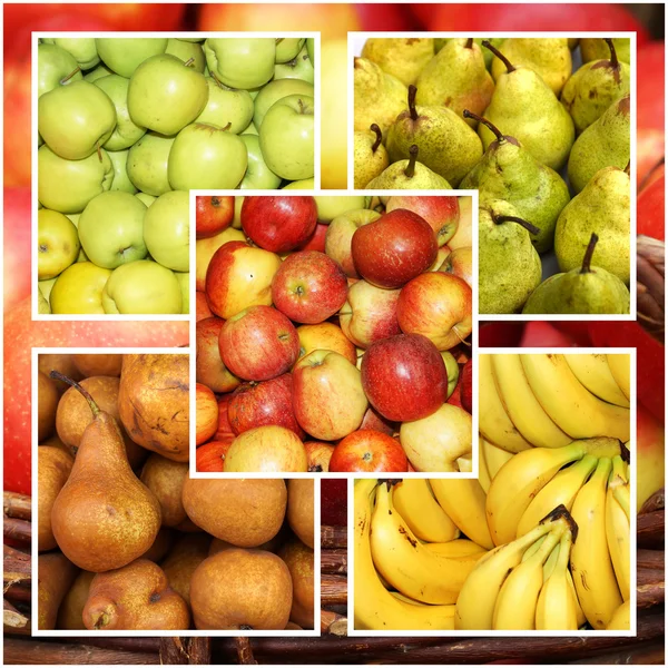 Collage from four photos of different ripe apples types. Stock Photo by ...