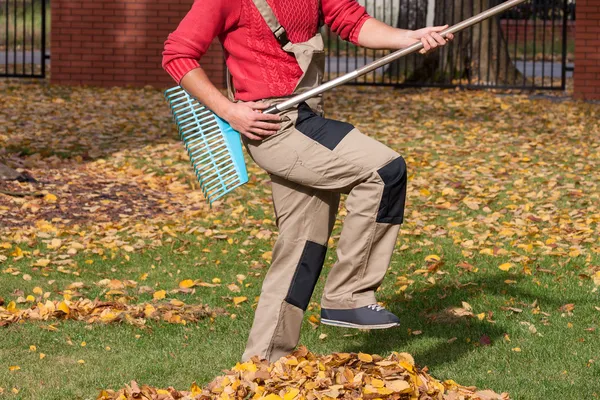 Rake Stock Photos, Royalty Free Rake Images | Depositphotos