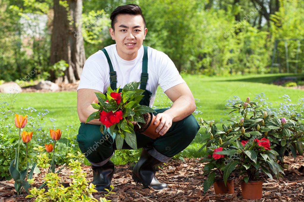 Asian gardener planting flowers — Stock Photo © photographee.eu #47069585