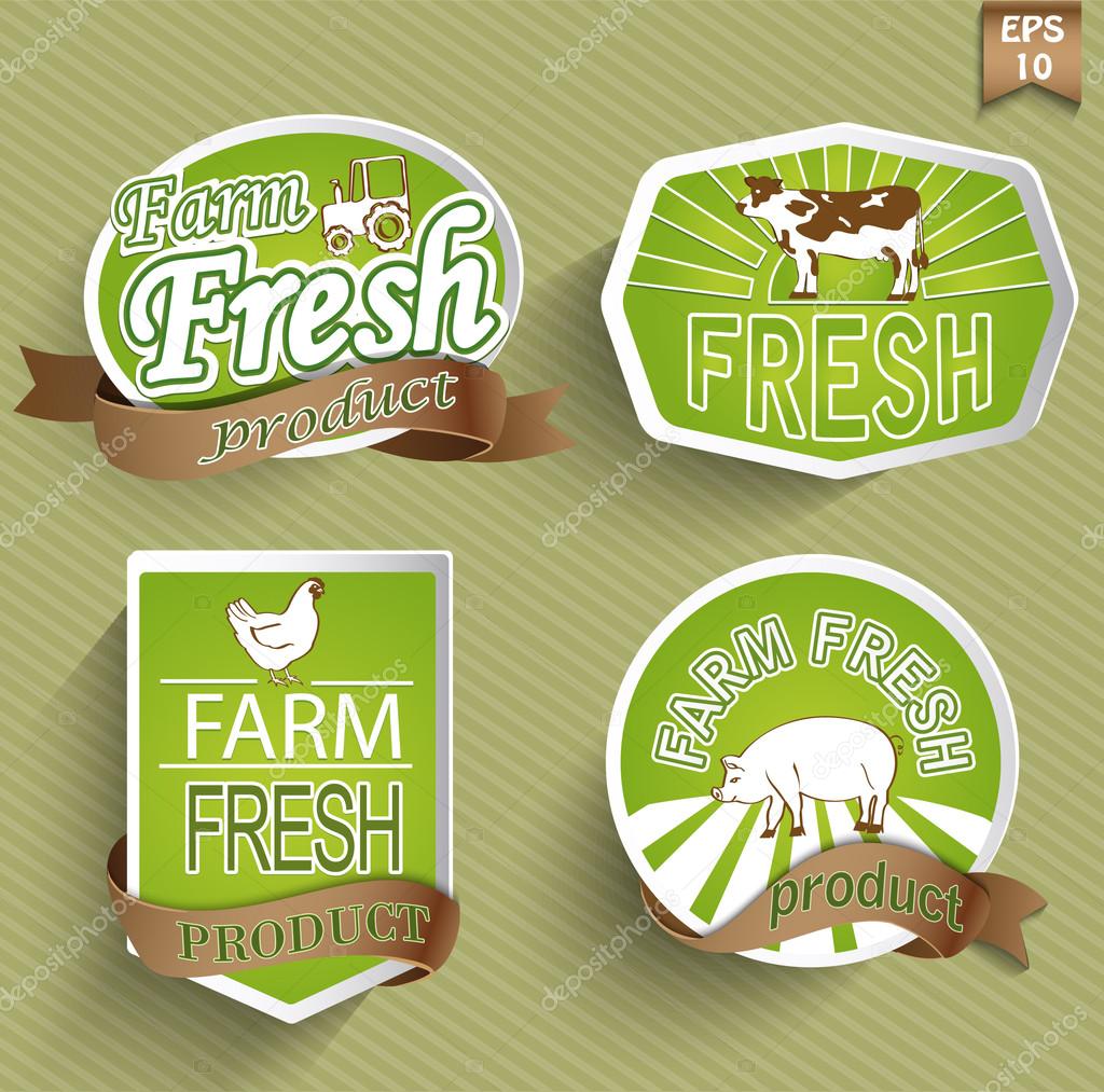 Food Label Design Vector