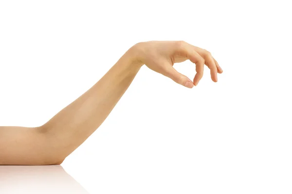 Two cupped hands isolated on white background — Stock Photo © kantver ...