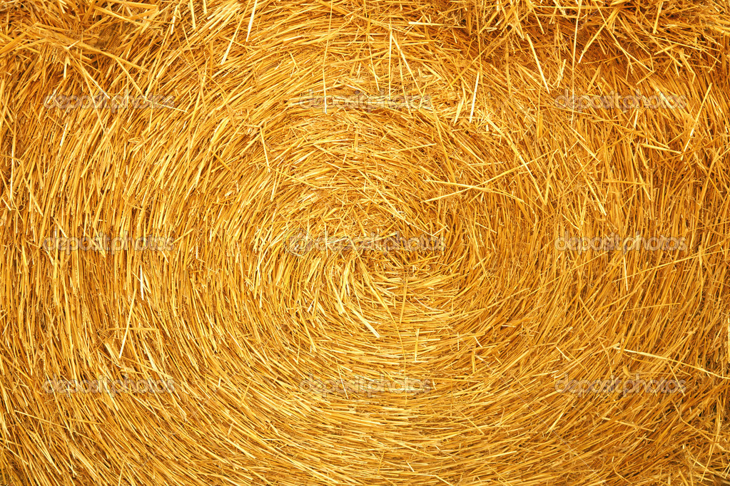 Haystack texture — Stock Photo © kantver #38570111
