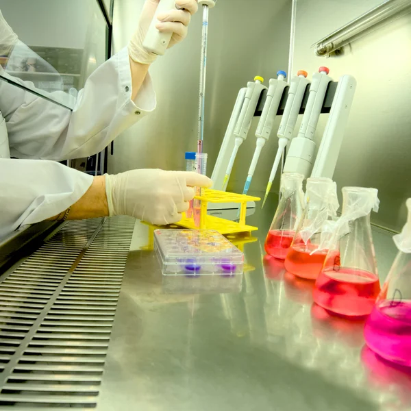 Biology lab Stock Photos, Royalty Free Biology lab Images | Depositphotos