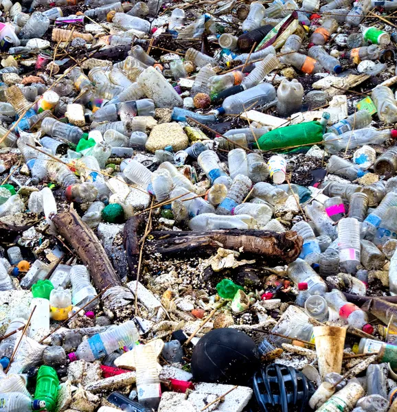 Container garbage Images - Search Images on Everypixel