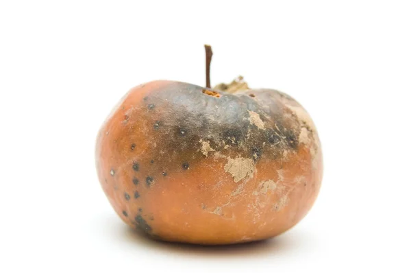 Rotten apple Stock Photo by ©spaxiax 1628946