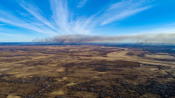 Fogo greyrock Stock Photos, Royalty Free Fogo greyrock Images ...