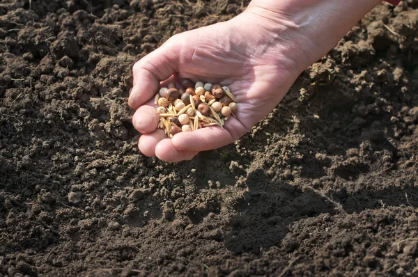 Sowing background Stock Photos, Royalty Free Sowing background Images ...