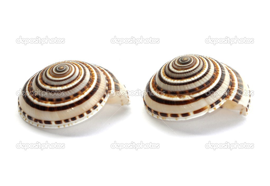 Architectonica perspectiva Stock Photo by ©HHelene 24854067