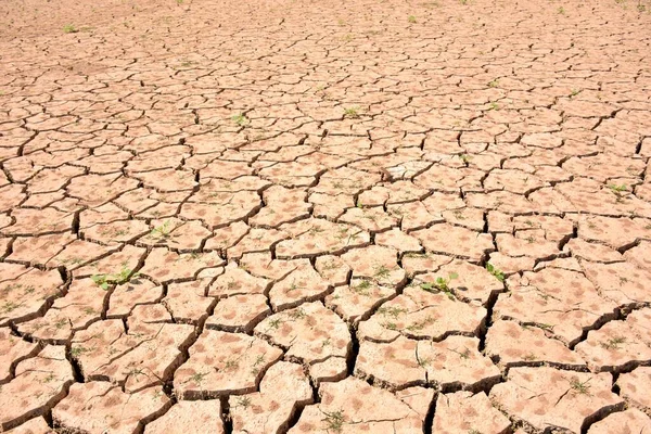 6,000,000+ imágenes de Pic of a drought libres de derechos | Depositphotos