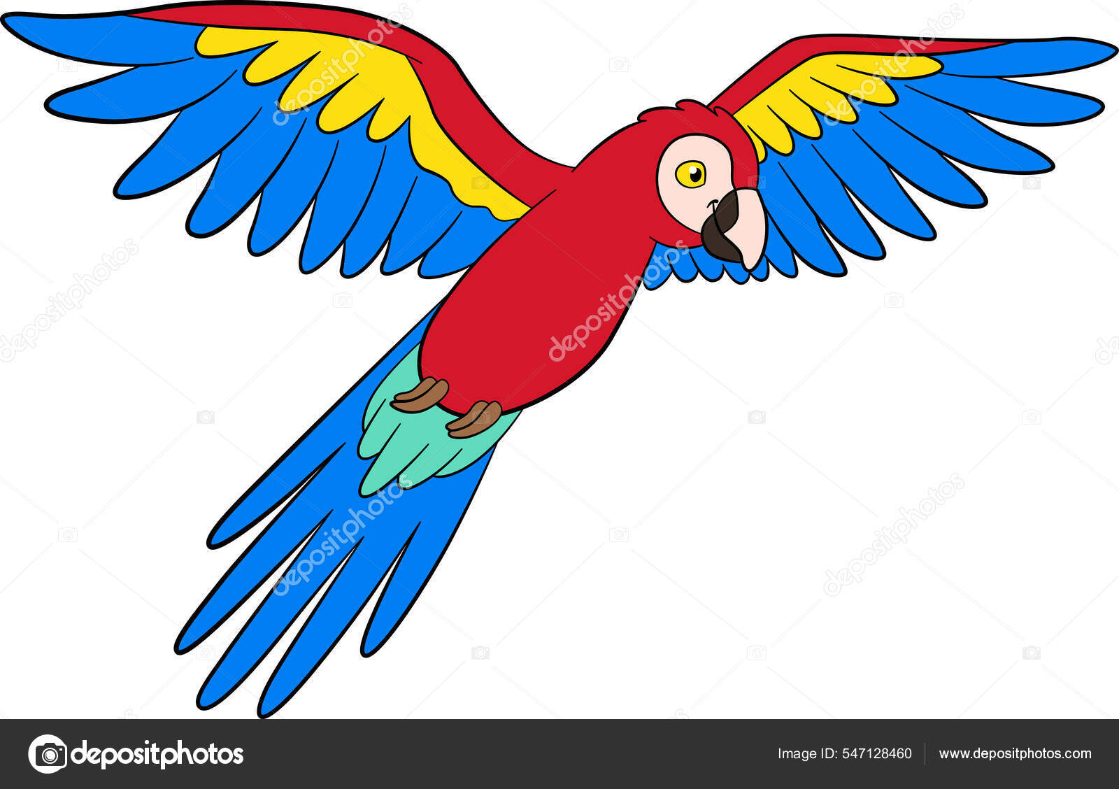 Scarlet Macaw Flying Animation