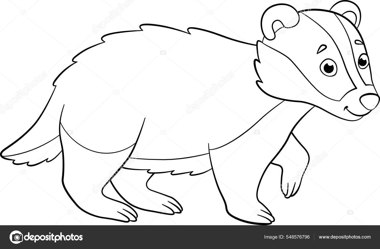 Omalovánky Malý Roztomilý Druh Jezevec Stojí Usmívá Stock Vektor od ©ya ...