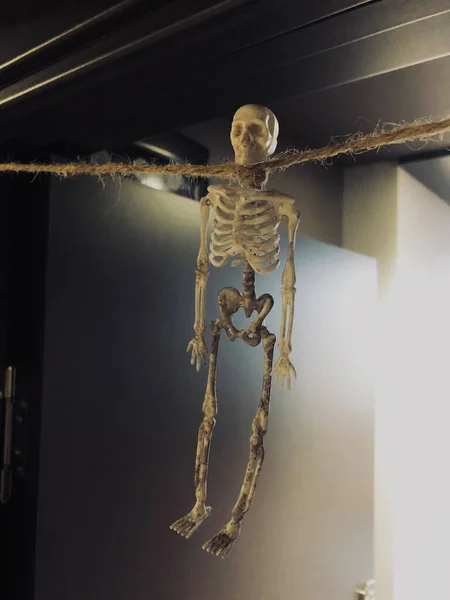 Esqueleto de casa Stock Photos, Royalty Free Esqueleto de casa Images ...