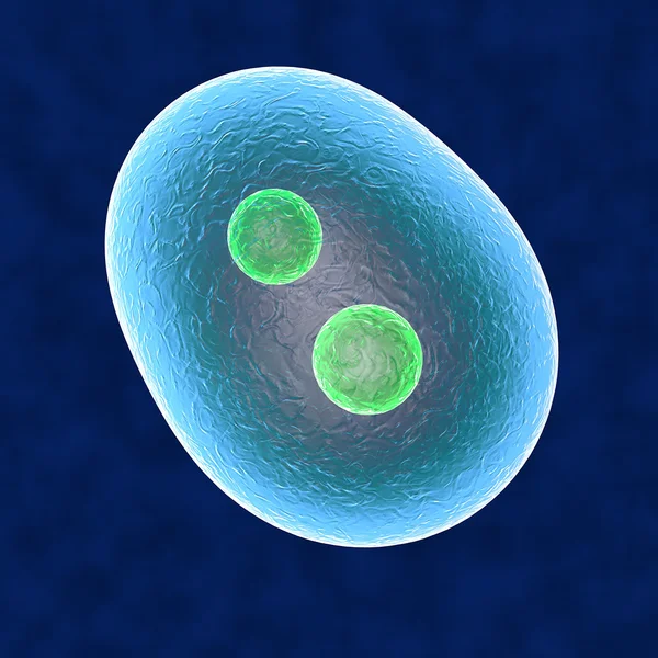 Duplication Stock Photos, Royalty Free Duplication Images | Depositphotos