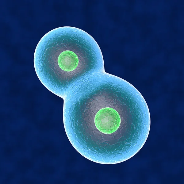 Core cell Stock Photos, Royalty Free Core cell Images | Depositphotos