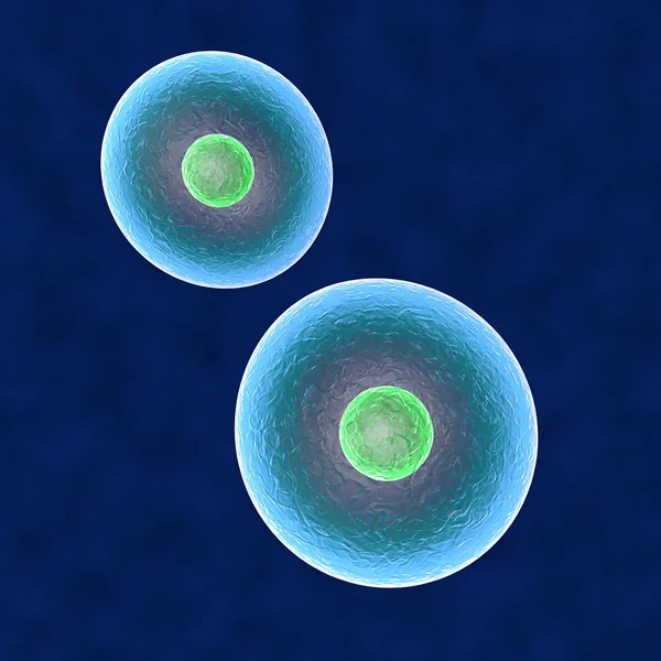 Core cell Stock Photos, Royalty Free Core cell Images | Depositphotos