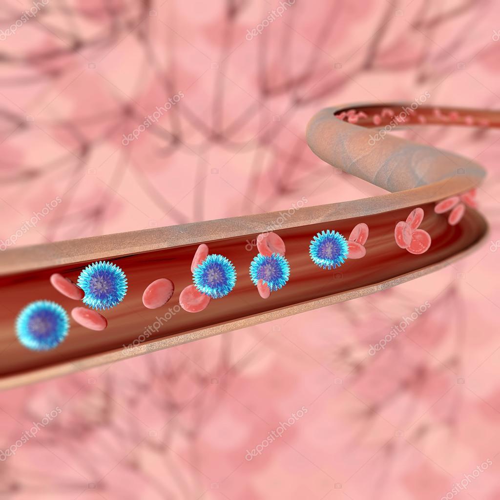 Blood vein Stock Photo by ©vampy1 31782201