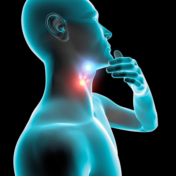 Anatomy tonsils images libres de droit, photos de Anatomy tonsils ...