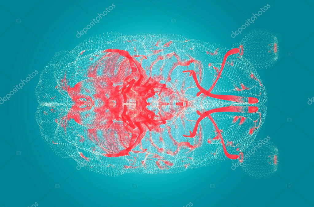 Visual function, brain and sight. Impulses sent by the visual system ...