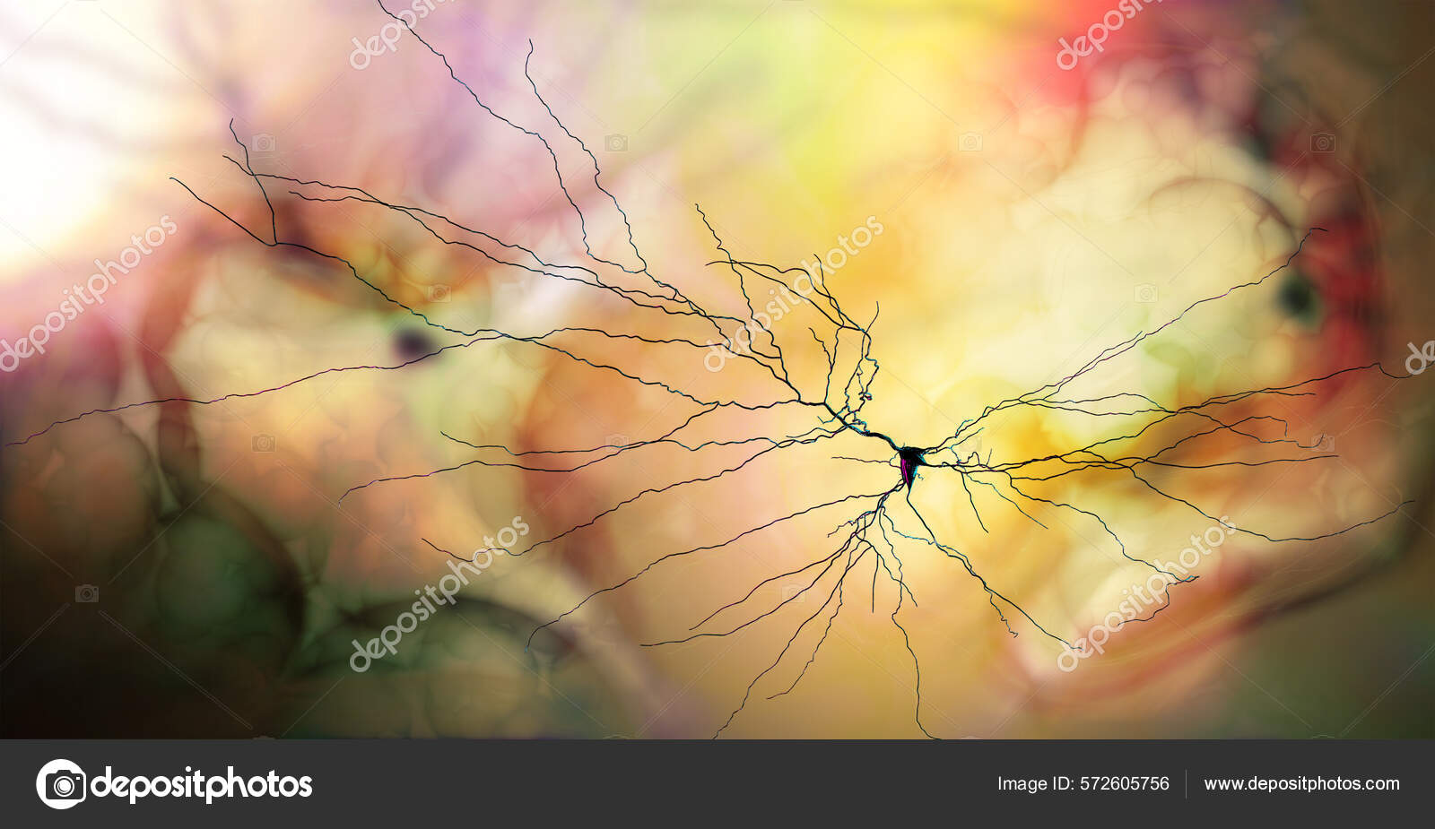 Conexiones Sinapsis Estructura Que Permite Una Neurona Célula Nerviosa ... Conexiones Sinapsis Estructura Que Permite Una Neurona Célula Nerviosa ...