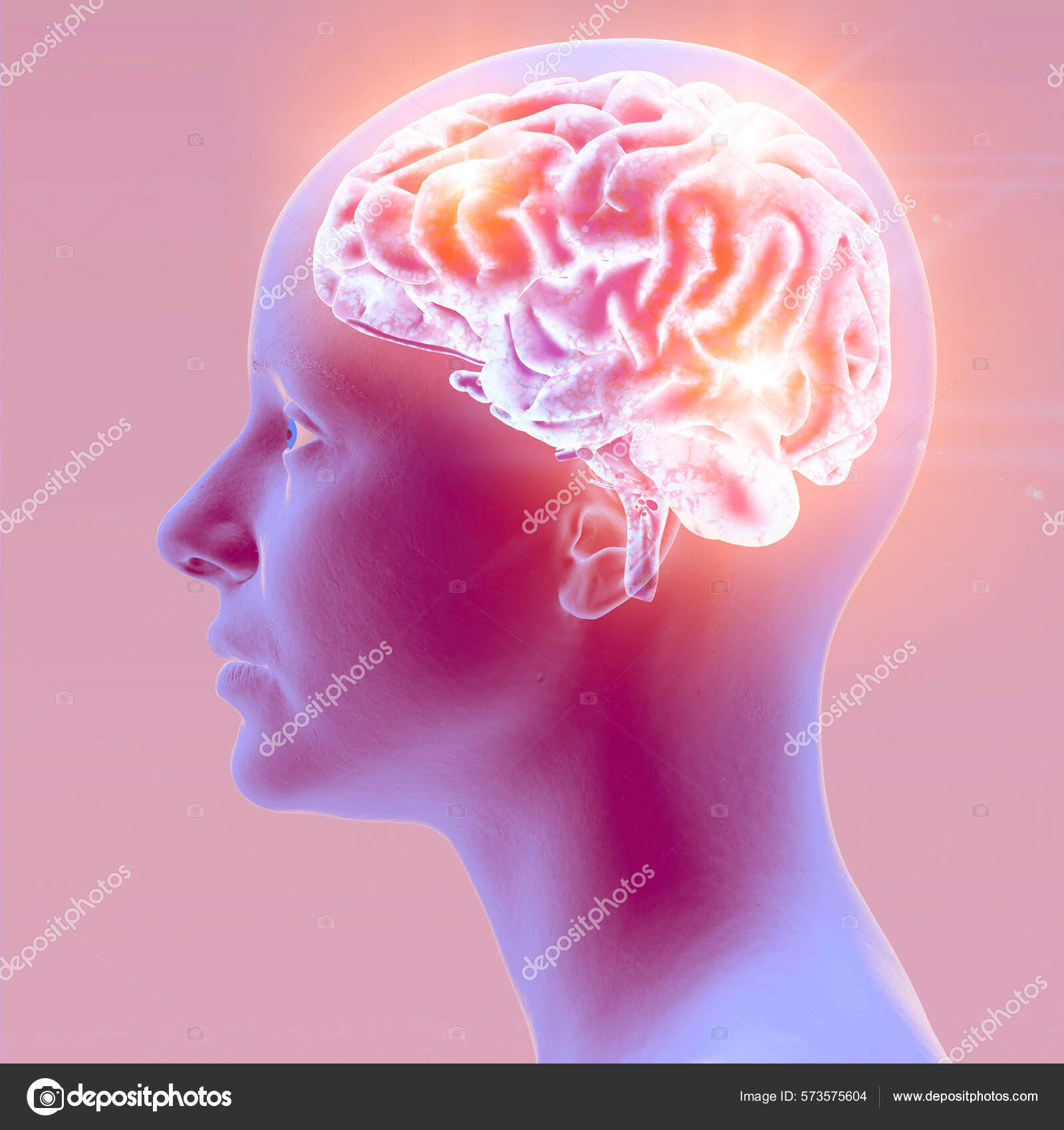 Synapse Connections Structure Permits Neuron Nerve Cell Pass Electrical ... Synapse Connections Structure Permits Neuron Nerve Cell Pass Electrical ...