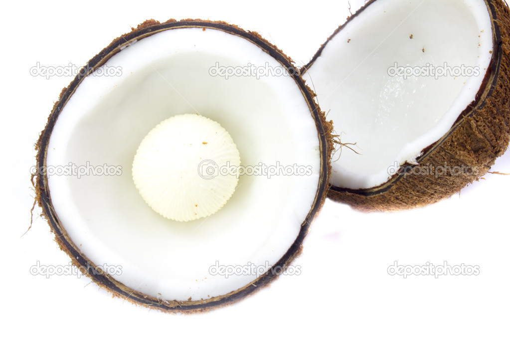 fruto de coco con semilla empieza a crecer dentro de aislado en blanco ...
